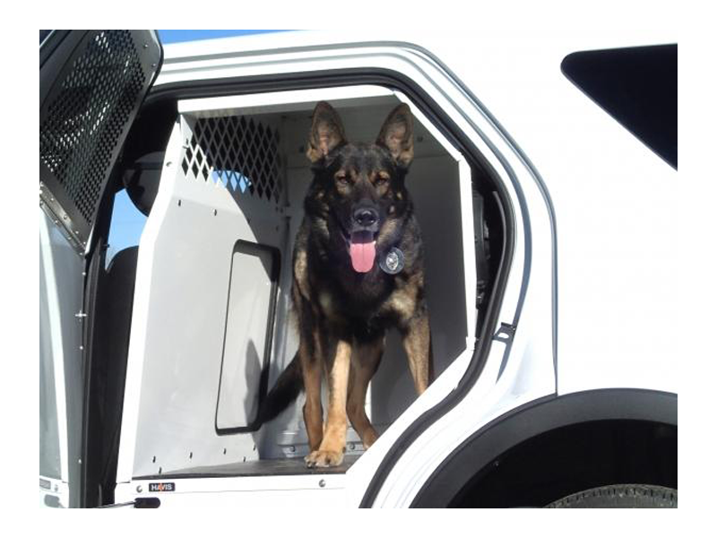 PRODUCTS > Bargain Bin > Prisoner and K9 Transport